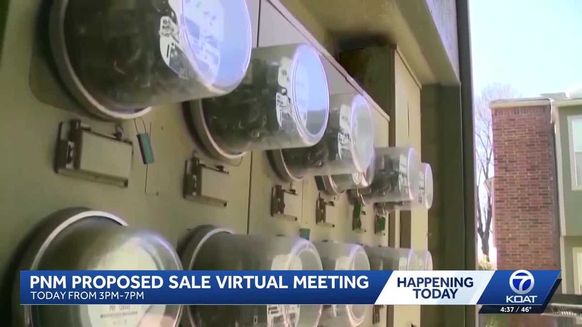 Public comment hearing on proposed PNM sale