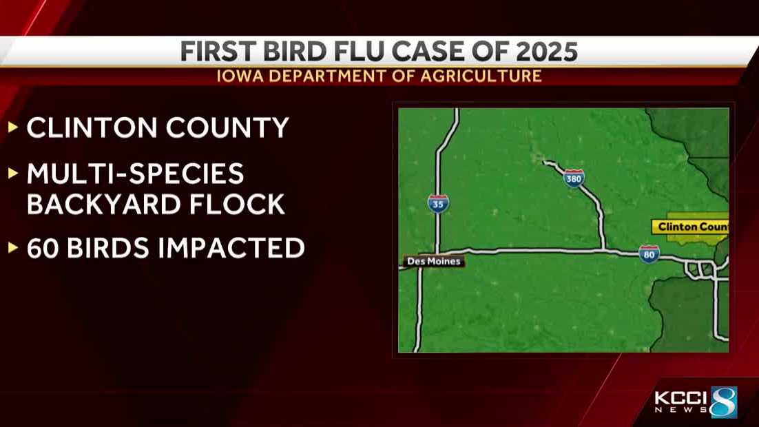 Iowa Department of Agriculture finds bird flu in Clinton County ...