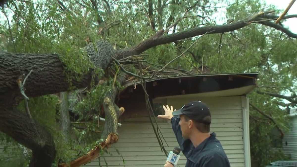 Man inside home sees sky after tree hits roof