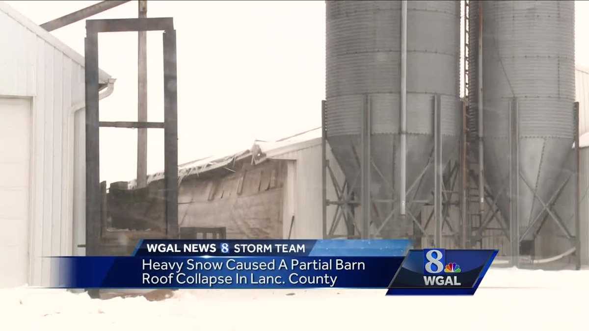 Heavy snow causes barn roof to partially collapse with pigs inside