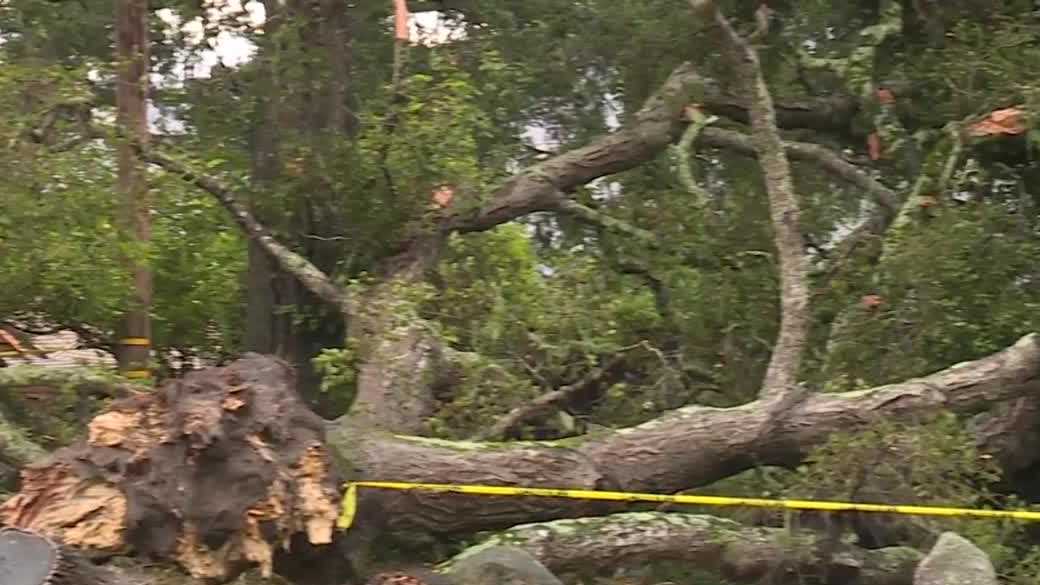 Christmas Eve storm downs trees, cuts power to thousands on Monterey ...