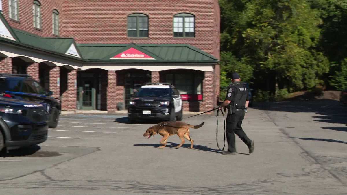 Missing 86-year-old woman from Scott Township found