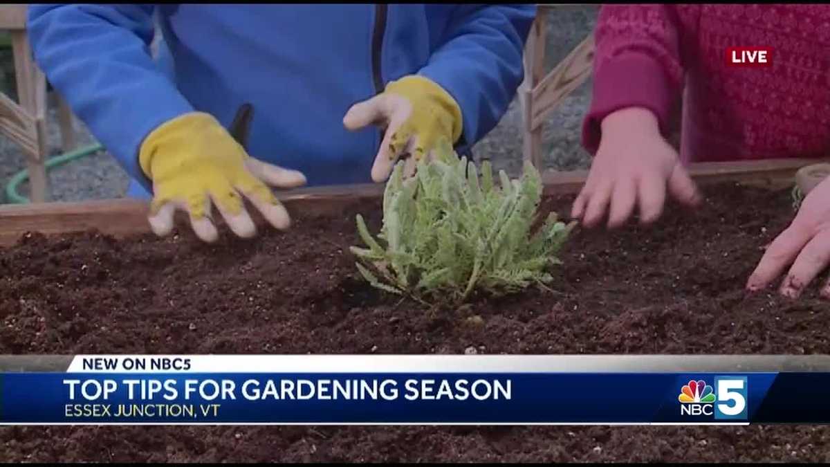 Gardening tips for chilly spring season
