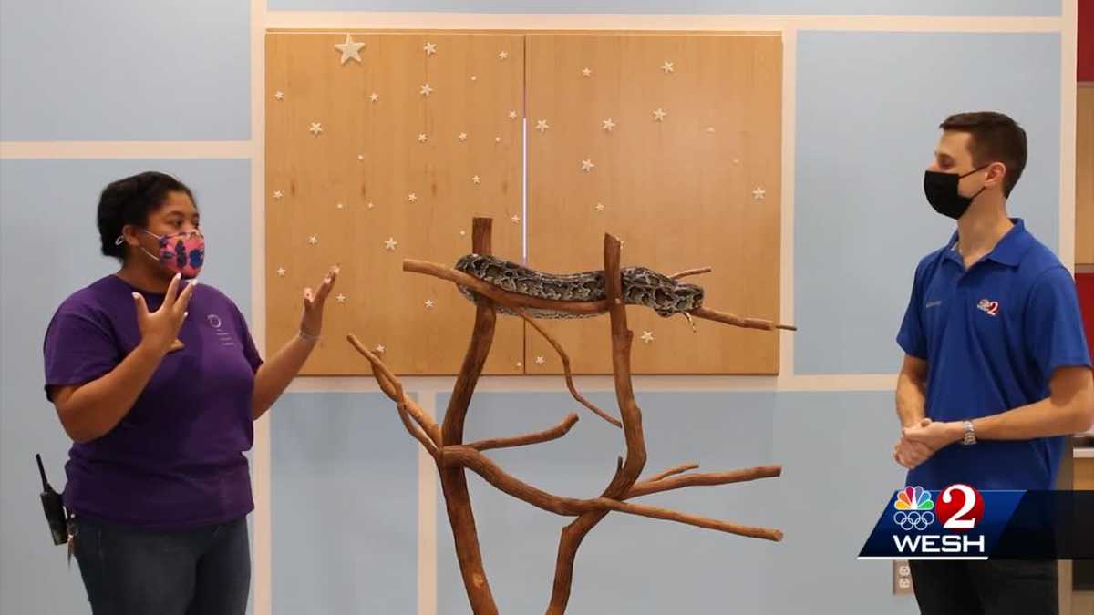 The Science of It: Snakes