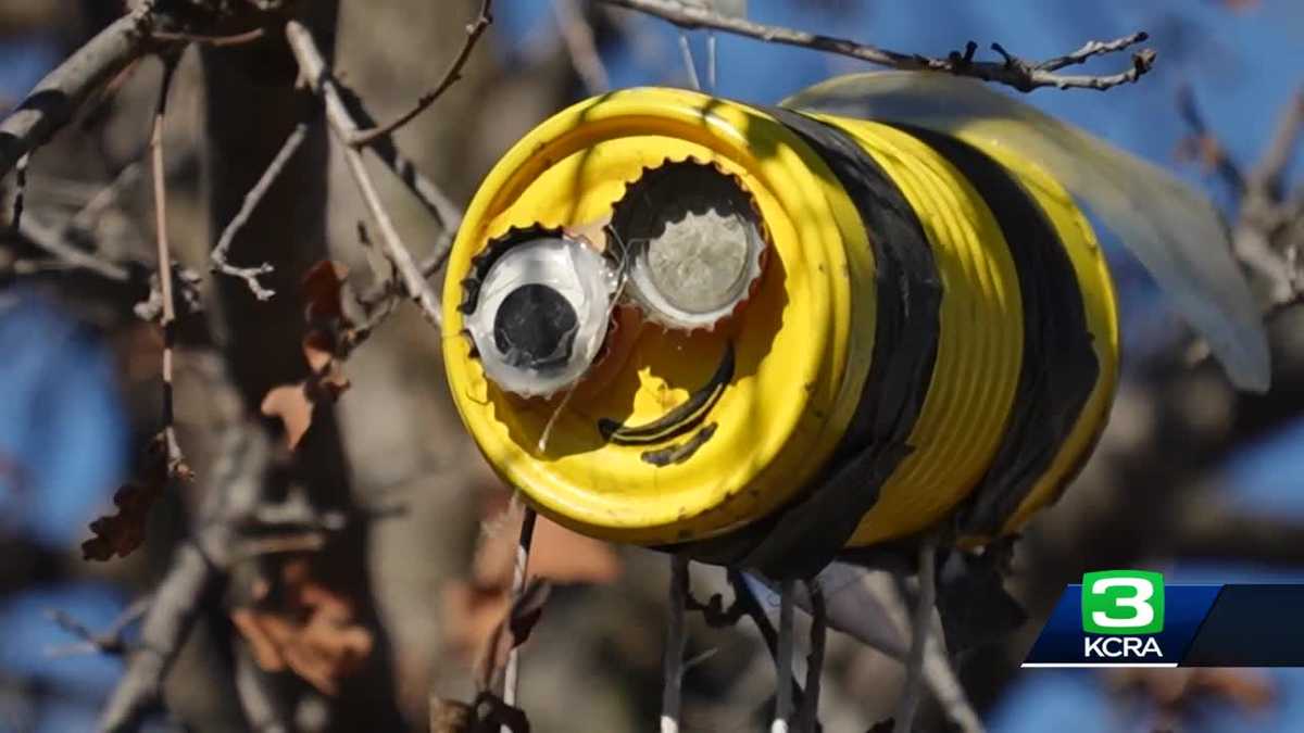 Modesto garden needs community help with maintenance