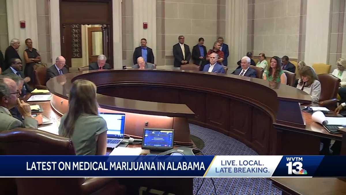 Alabama's Medical Cannabis Commission divided