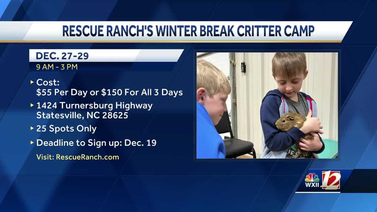 Get hands-on experience with animals during Rescue Ranch's winter break ...