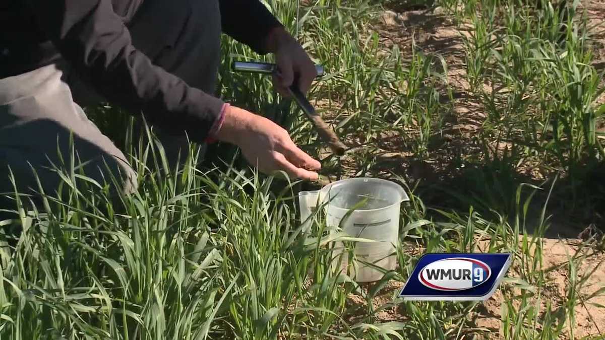 Grow it Green: Soil testing