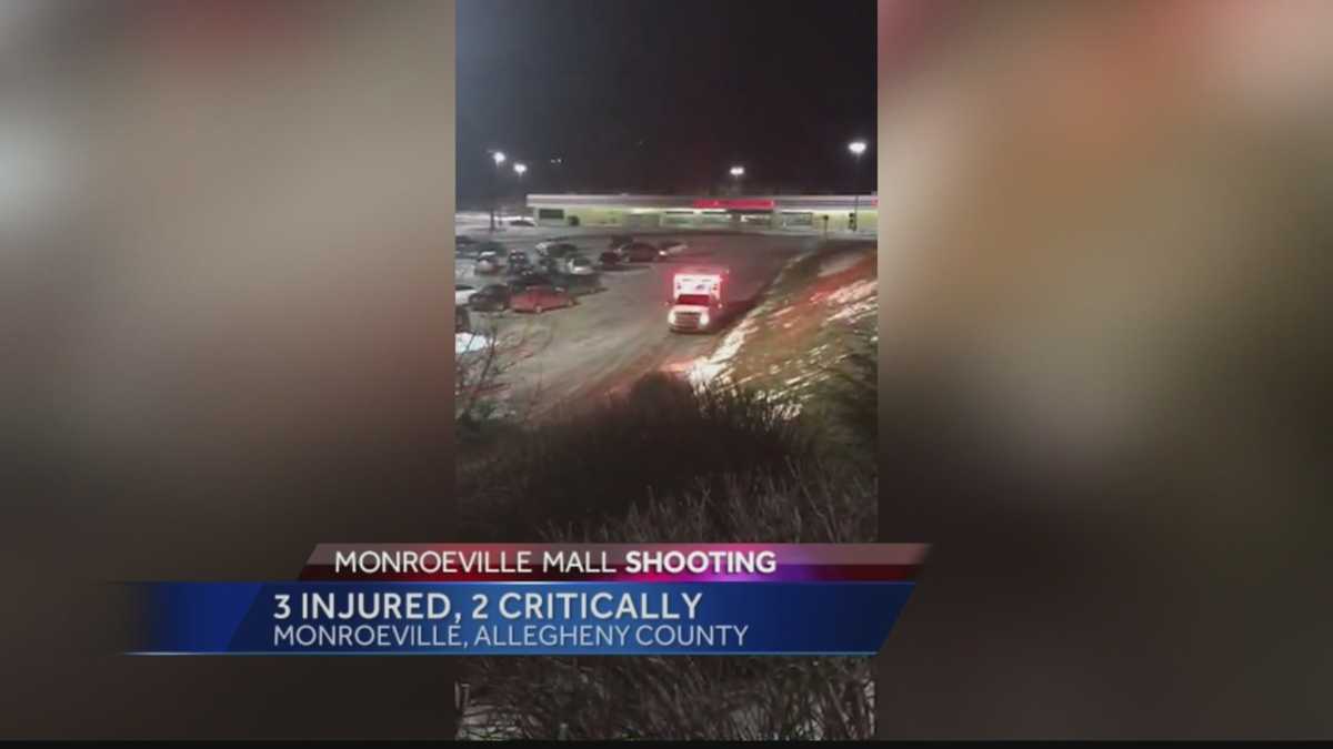 Update: Victim's status after the Monroeville Mall shooting