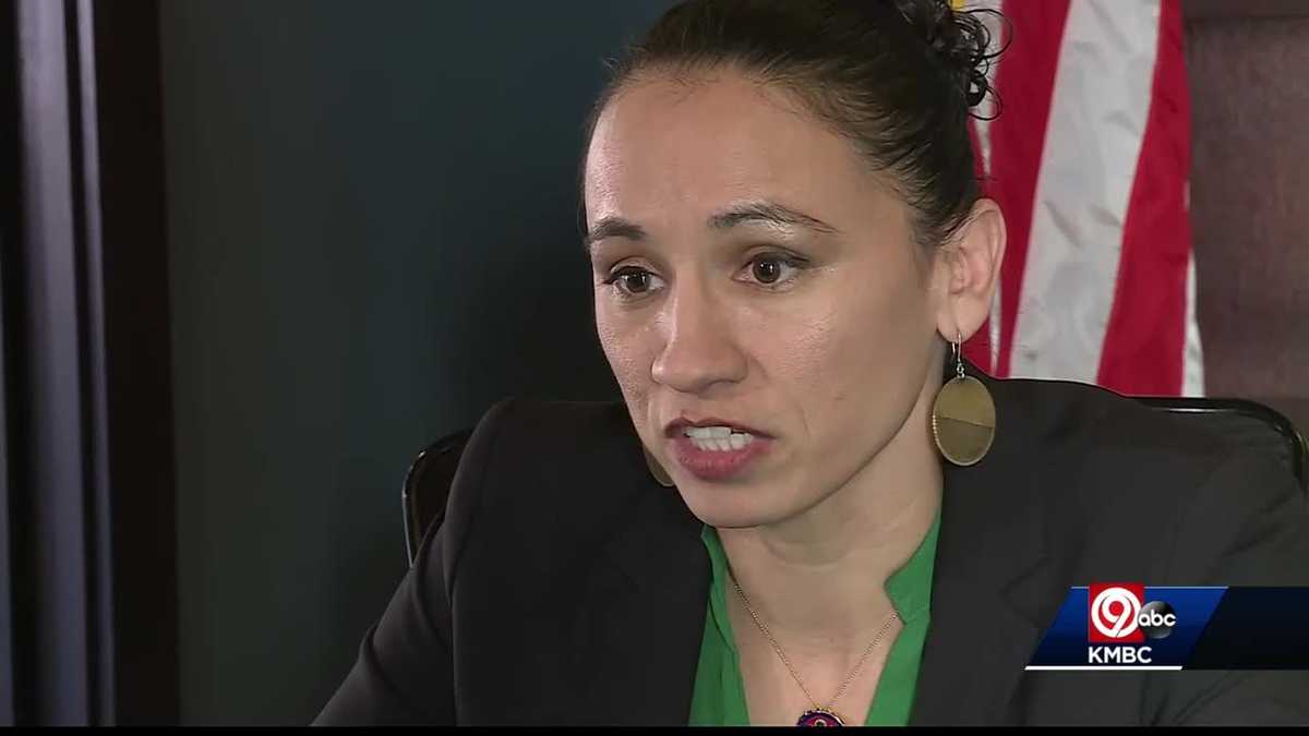 Davids votes for border wall funding