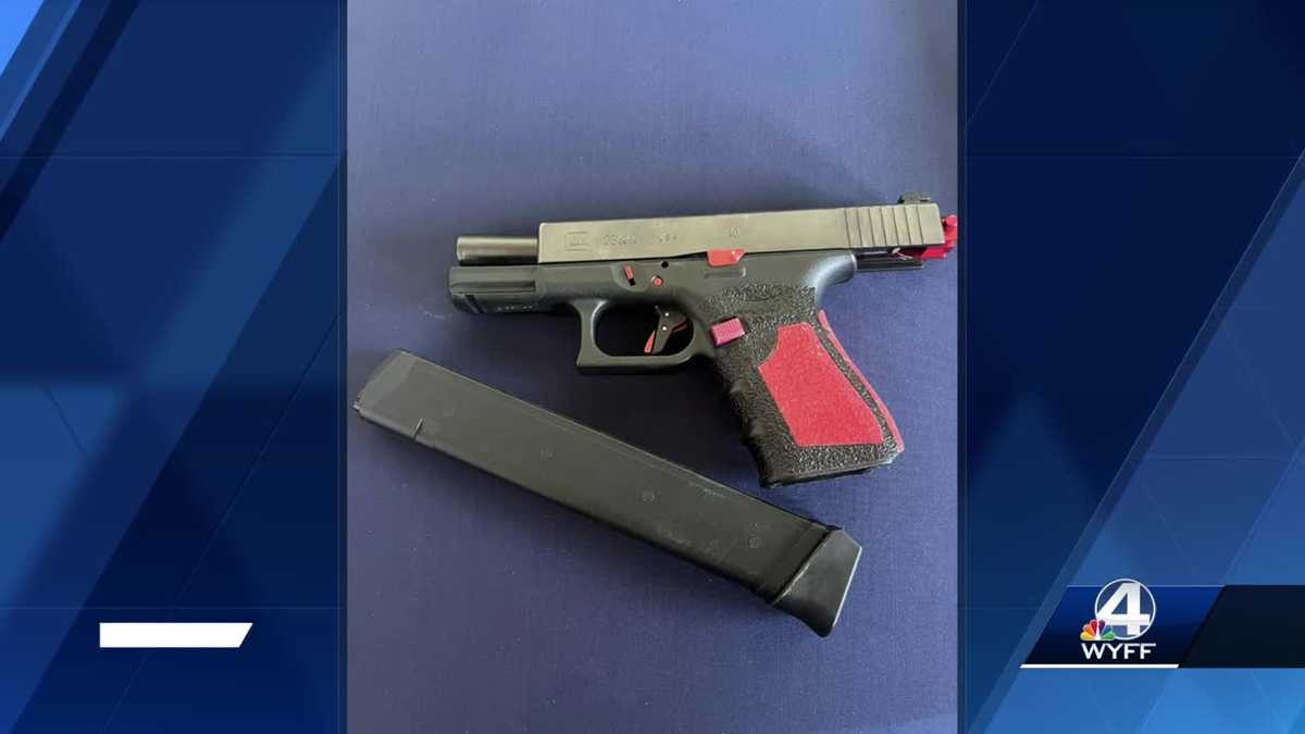 South Carolina: Gun seized during store theft investigation