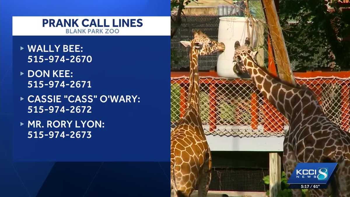 Blank Park Zoo creates prank call lines for April Fools' Day