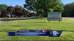 Dozens of flags on display at Kelly Senior Center