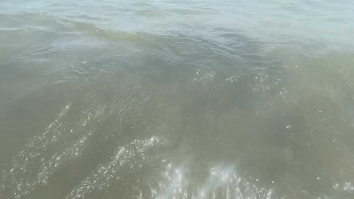 South Carolina: Fossils at Myrtle Beach