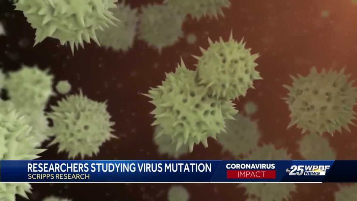 Local researchers studying virus mutation
