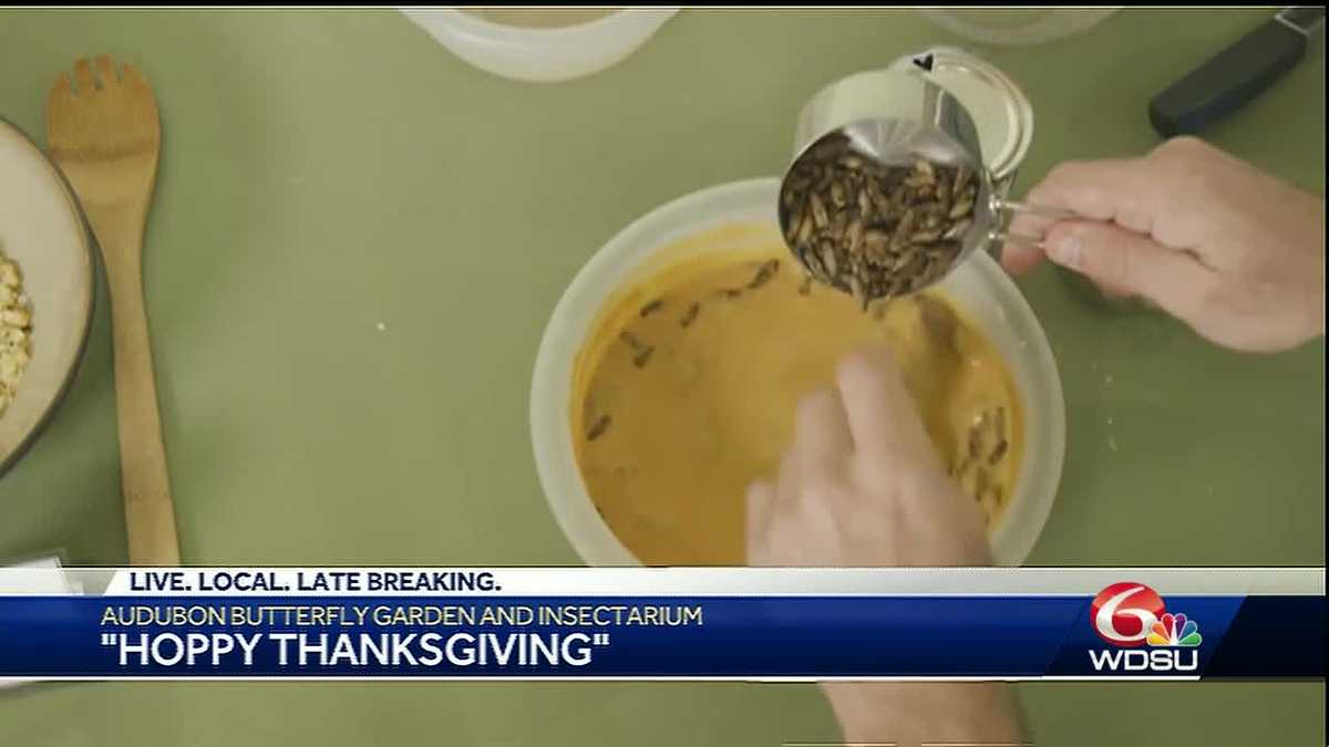 'Hoppy Thanksgiving' at the Insectarium!