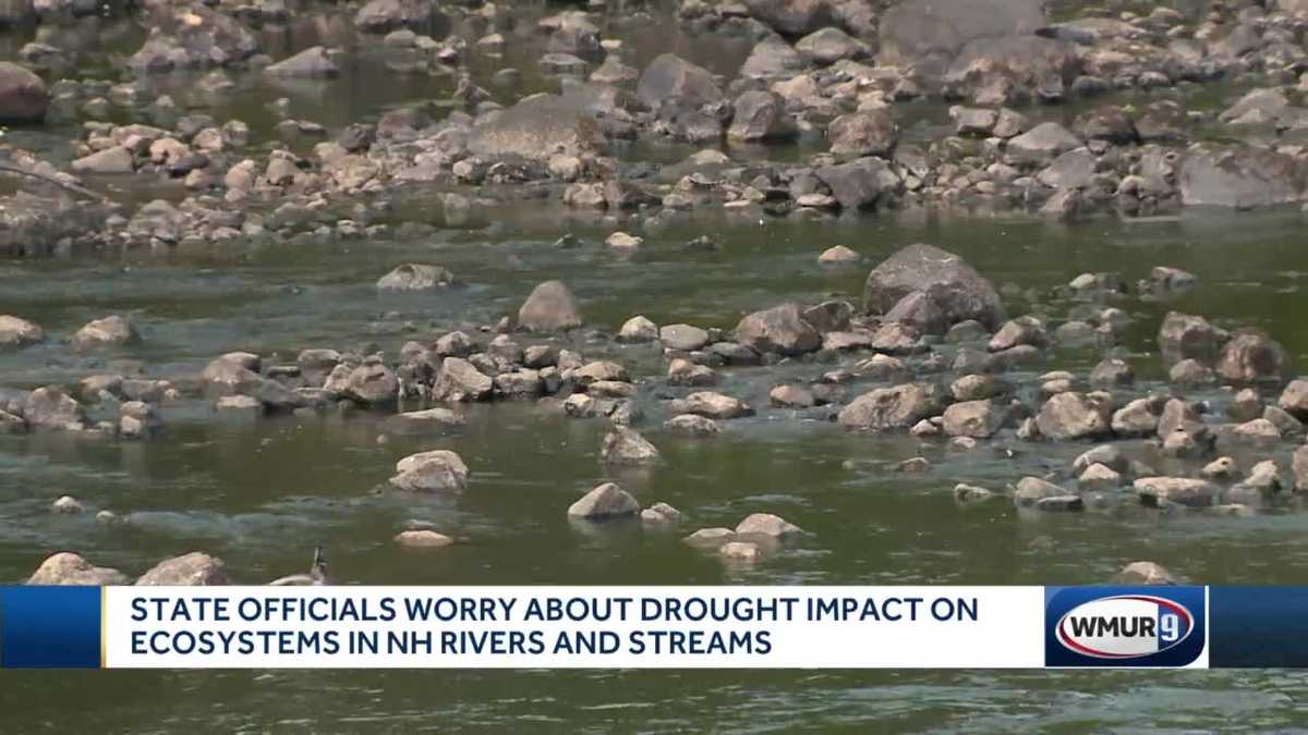 Severe drought reduces river levels, stresses NH ecosystems