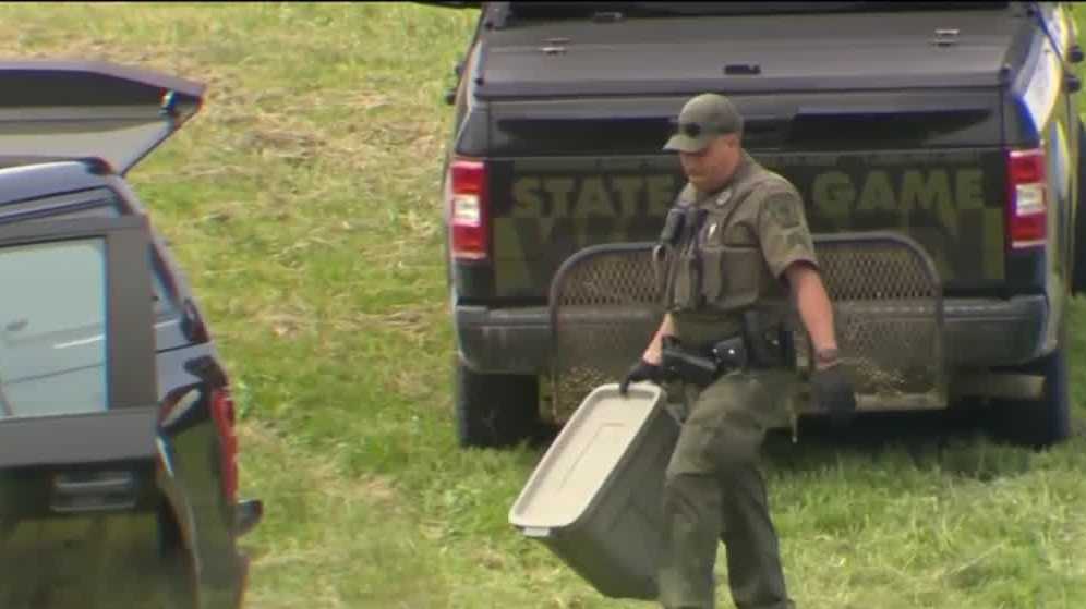 Bald eagle death under investigation in Pennsylvania