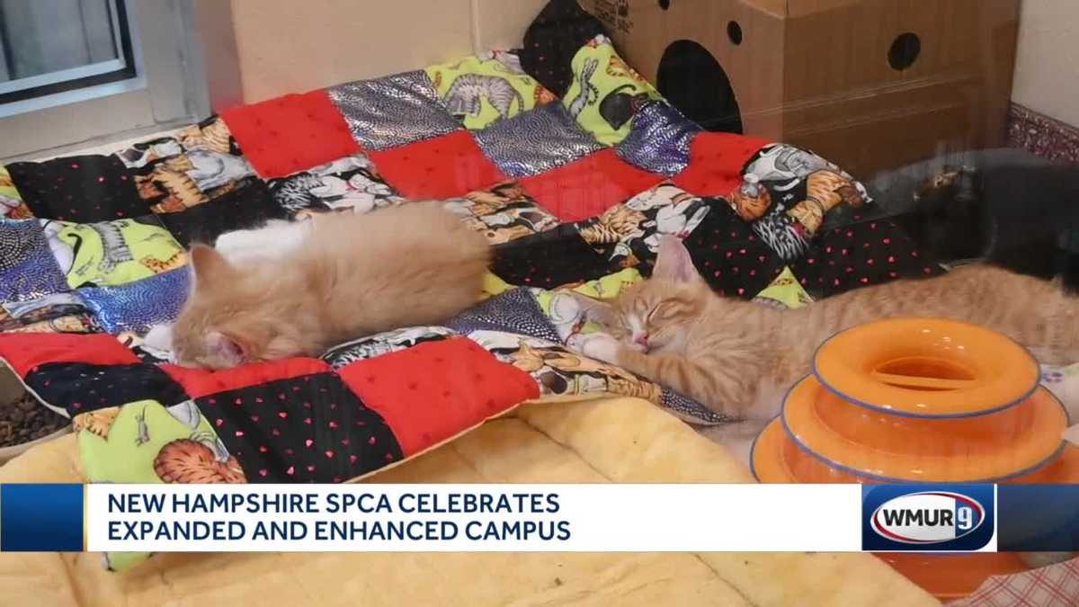 New Hampshire SPCA opens expanded, updated campus