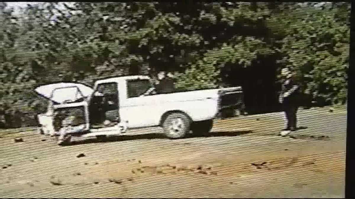 Dashcam video shows police, mailman on rescue mission