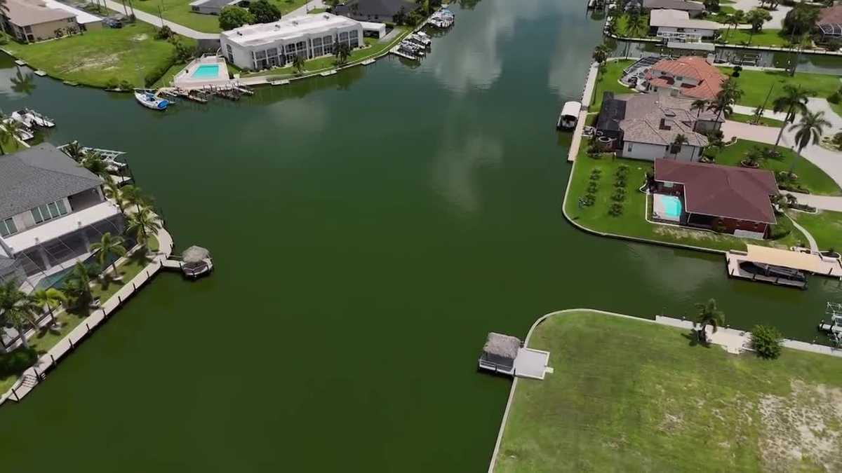 Algae Creeping Back Into Cape Coral Canals