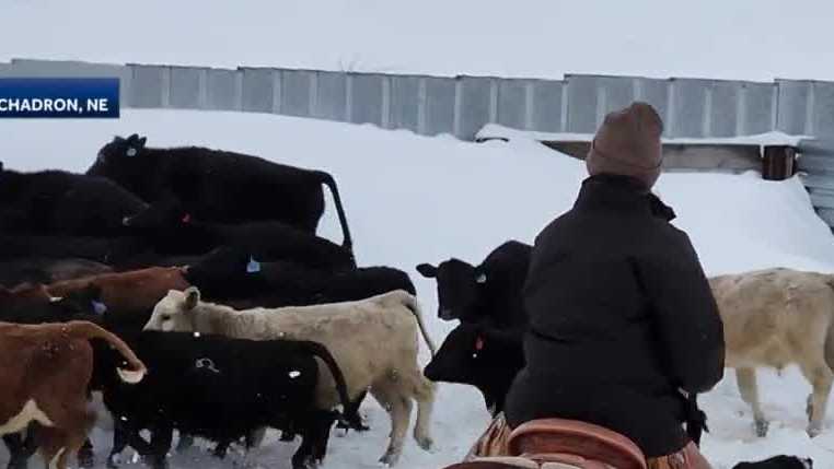 Nebraska panhandle sees snow, costs pile up after winter storms