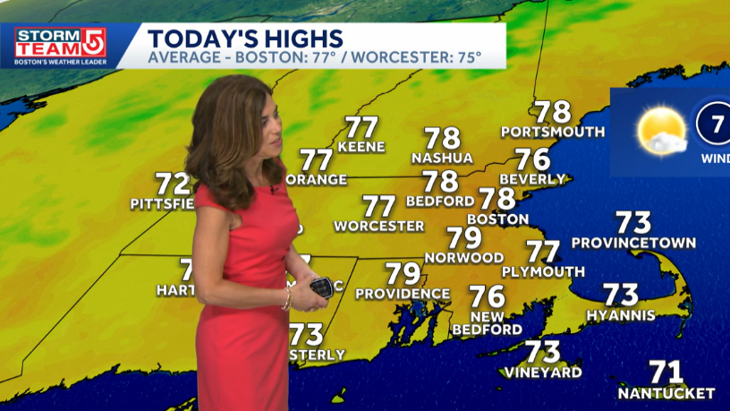 Video: Sunny day with seasonable temperatures