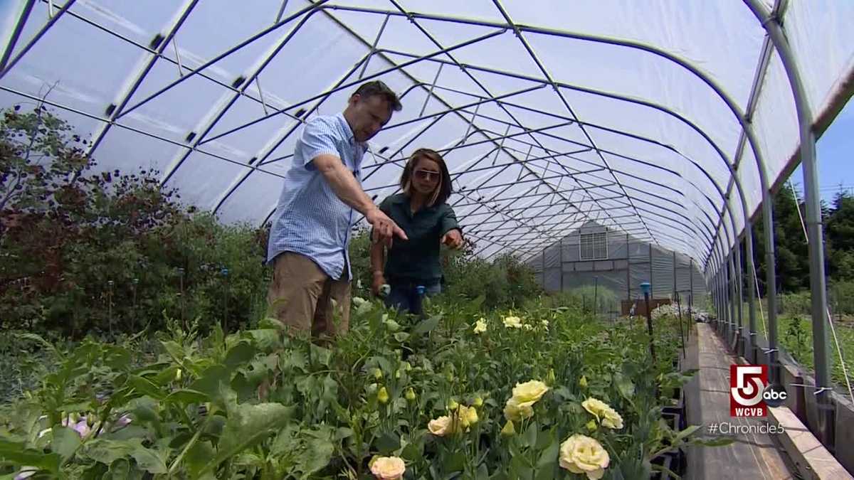 Head south to Rhode Island for no-till farming at Petals Farm; take a ...