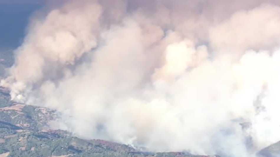 CalFire launches platform to view vegetation management programs