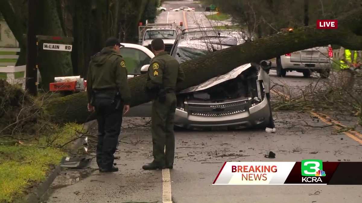 Woman rescued after tree crushes SUV in Placer County