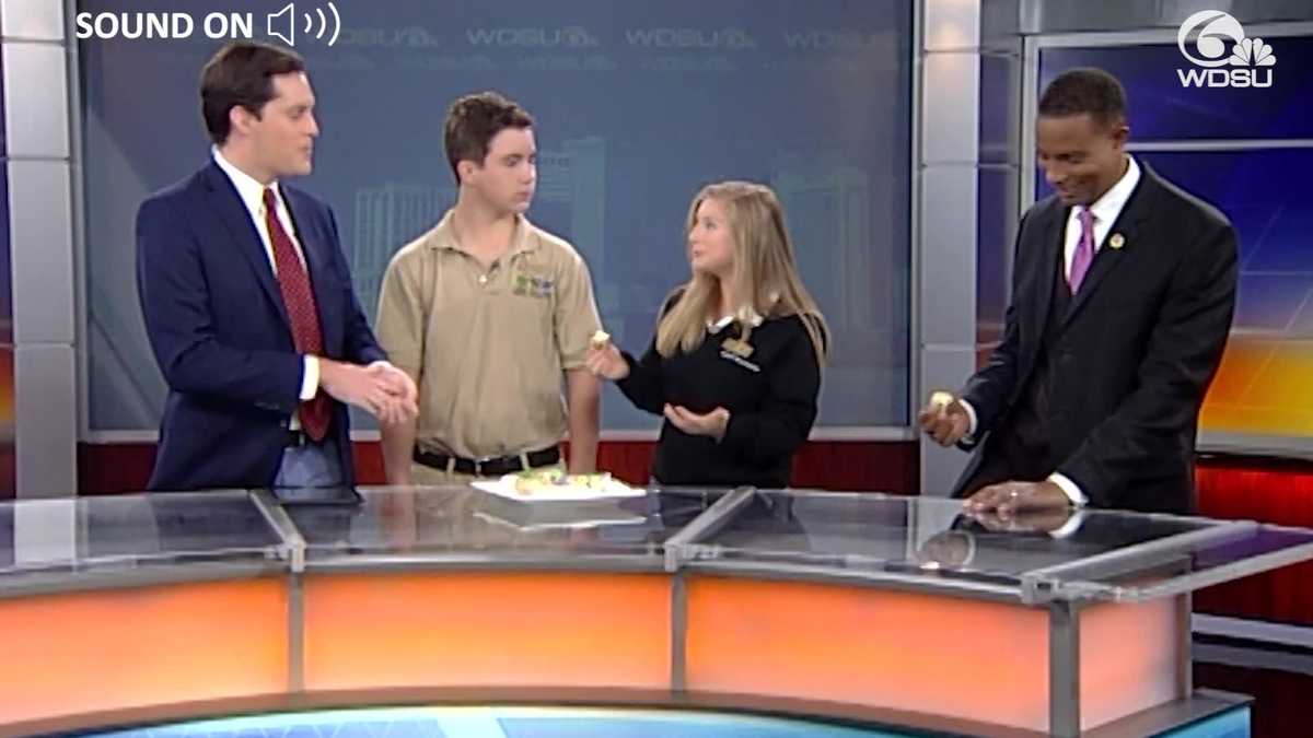 Archives: Damon Singleton can't stomach the Audubon Zoo's cricket king cake