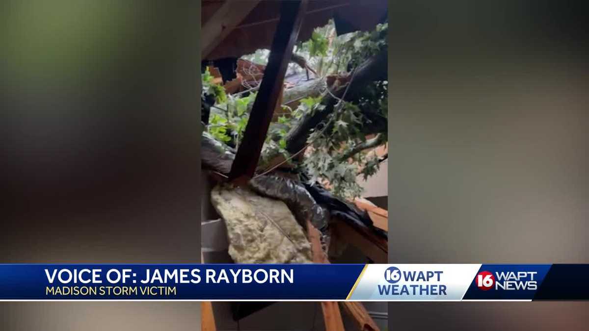 Tree falls onto Madison house while family was inside