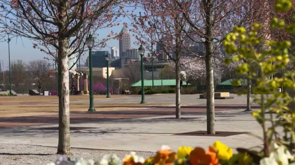 A high pollen count in Iowa is causing spring allergies