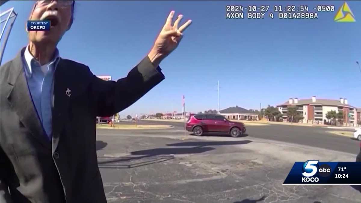 Lich Vu dies one year after violent traffic stop altercation with ...