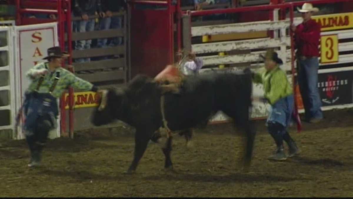 The life of a bull fighter