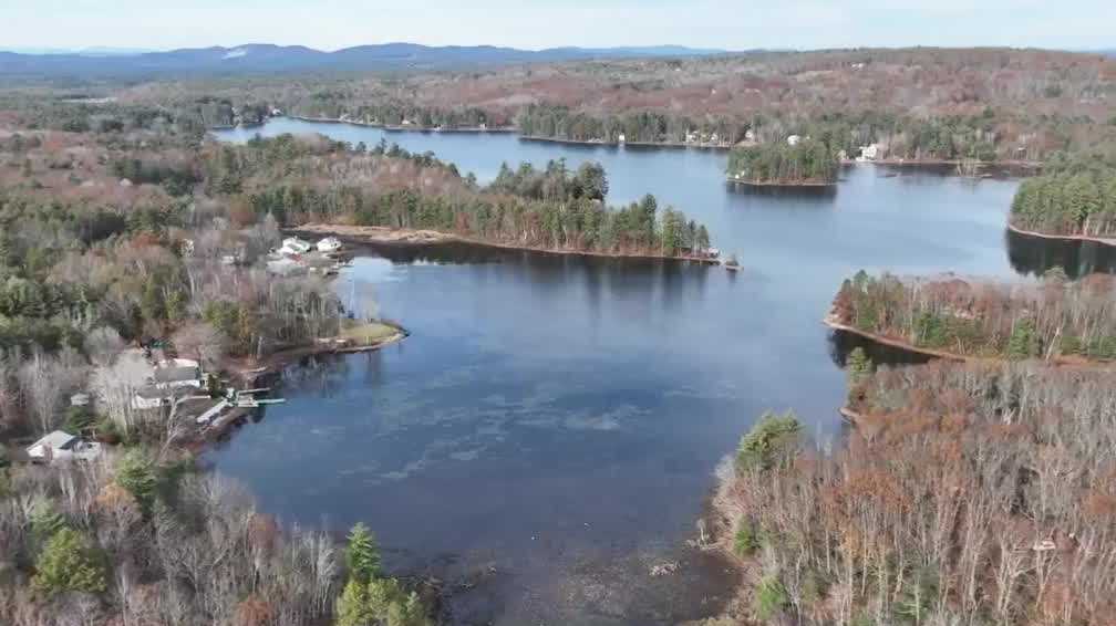 Something lurking in the water at Little Ossipee Lake
