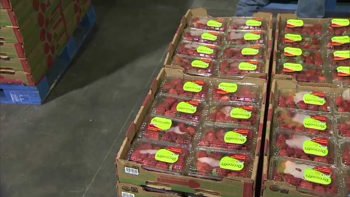 Inside Stop & Shop's New England warehouse supplying Massachusetts stores