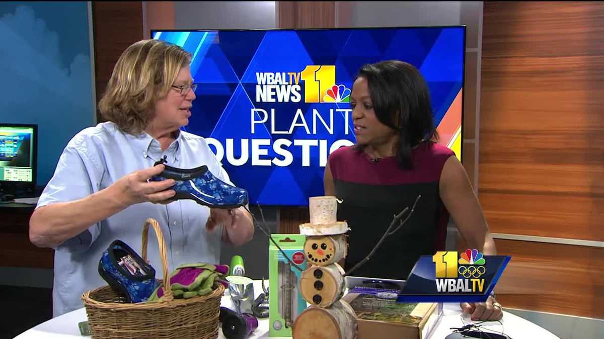 Plant questions: Carrie's favorite gardening items