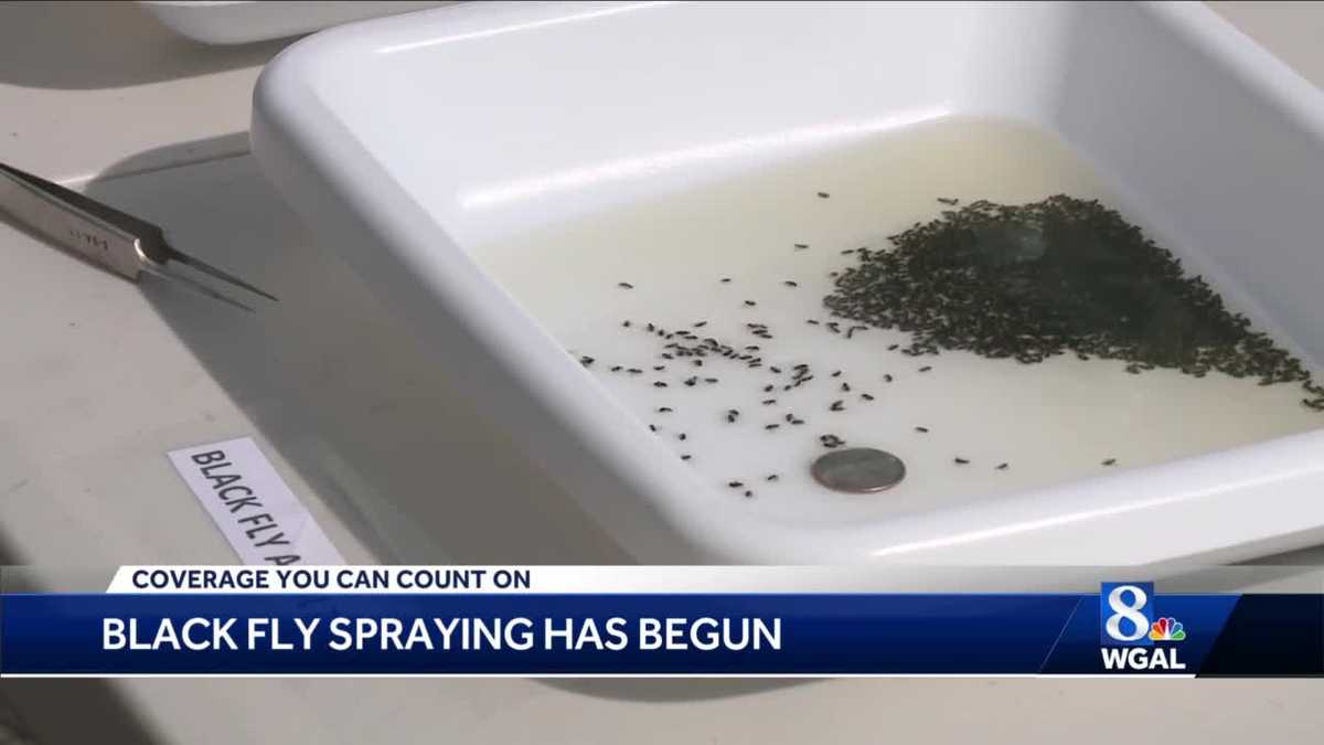 Black fly spraying begins in Pennsylvania