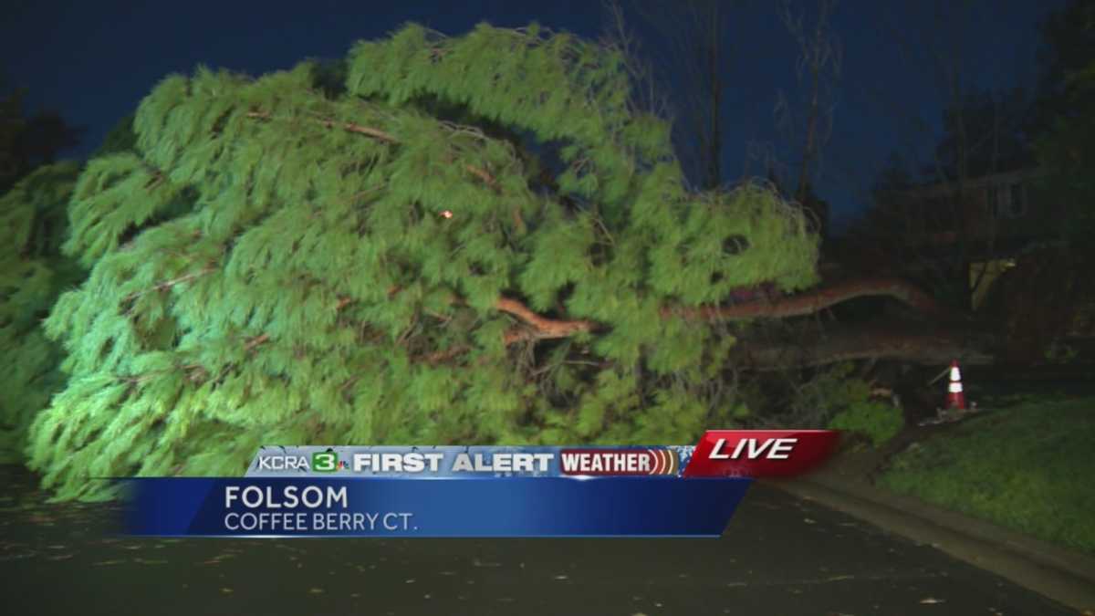 Fallen tree blocks road in Folsom