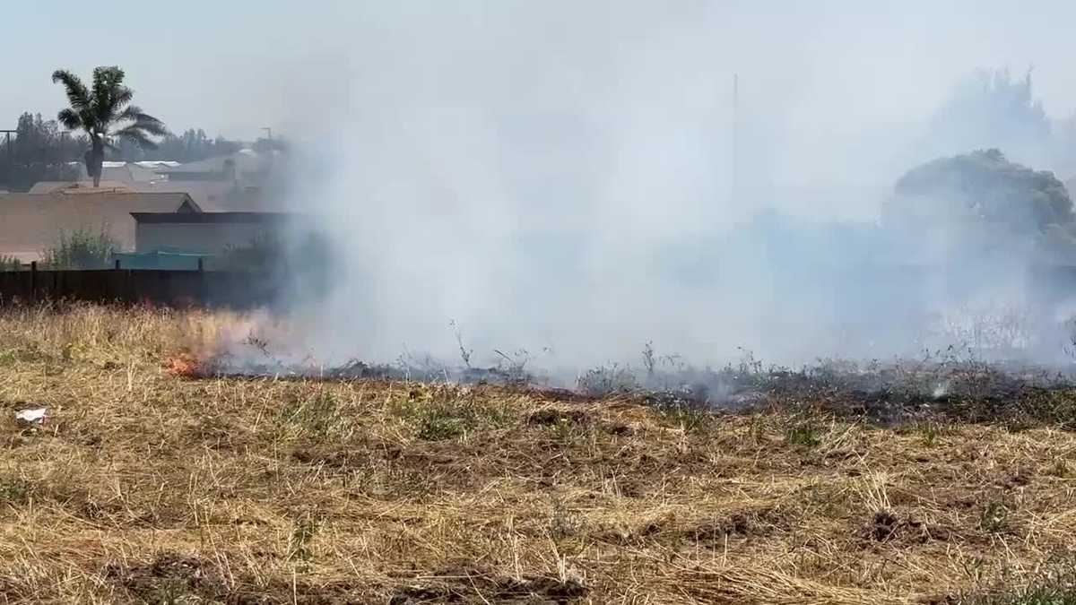 Fire Crews Respond to a vegetation fire in Greenfield near Tyler Avenue