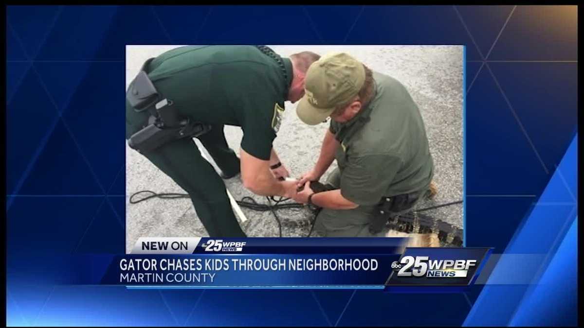 Gator chases kids through neighborhood in Martin county