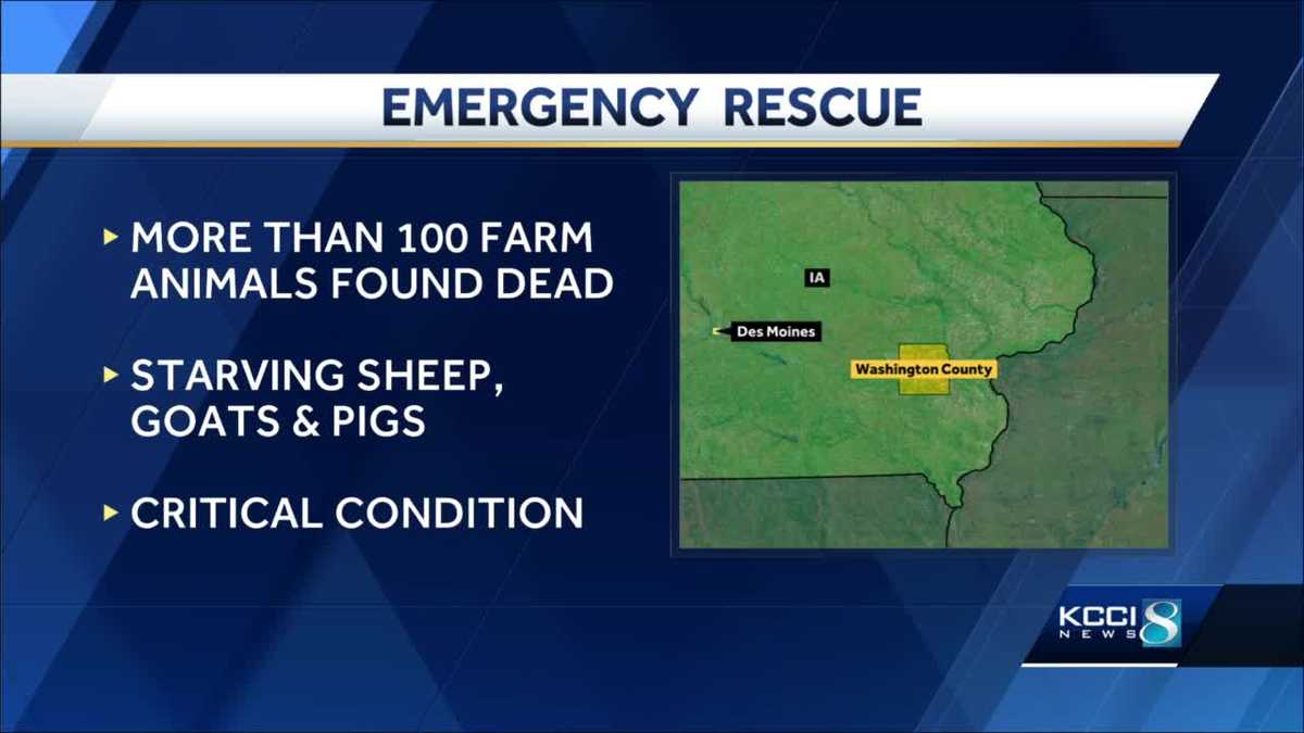 More than 100 farm animals found dead in Washington County