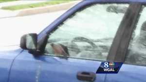 Wild Moments: Why are birds attacking windows and mirrors?