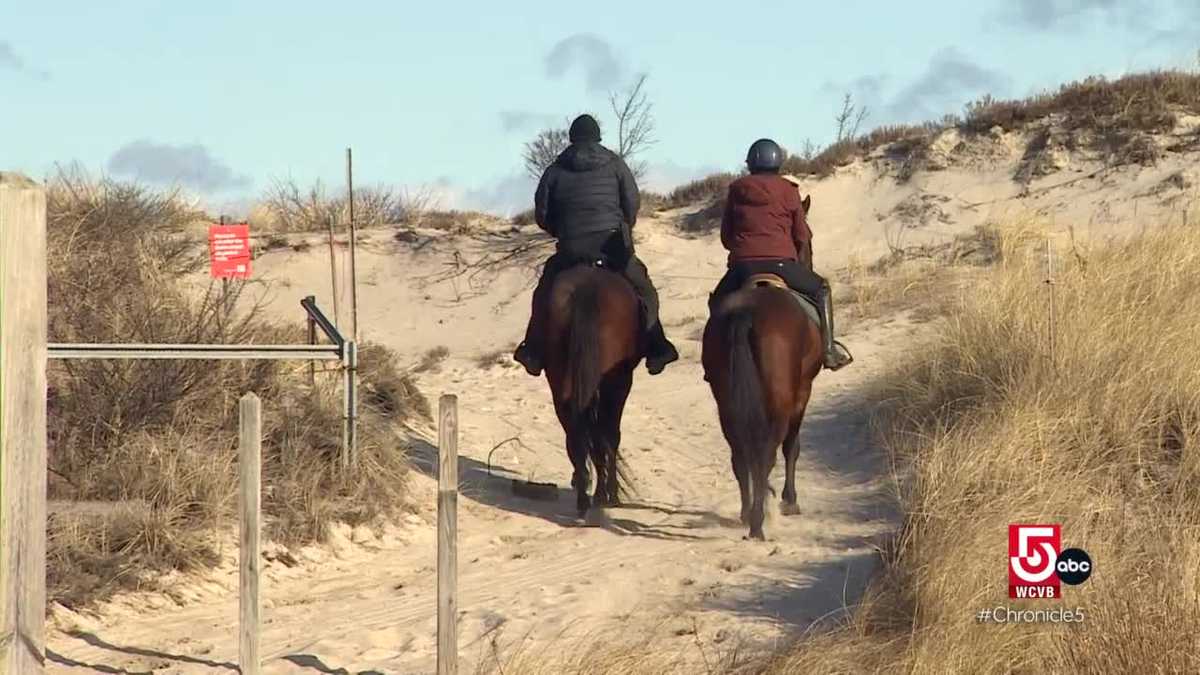 Explore Massachusetts' winter scenery on conserved land