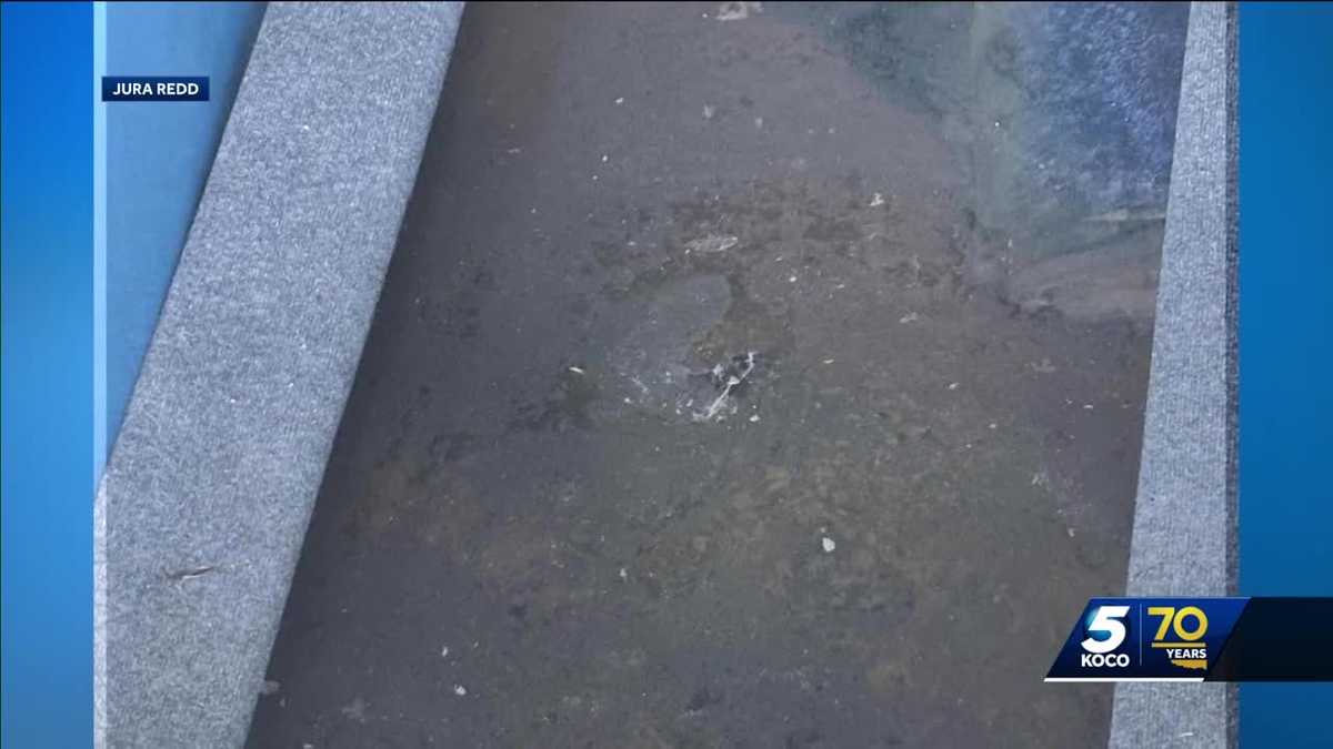 Water in your storm shelter this season? There could be a reason