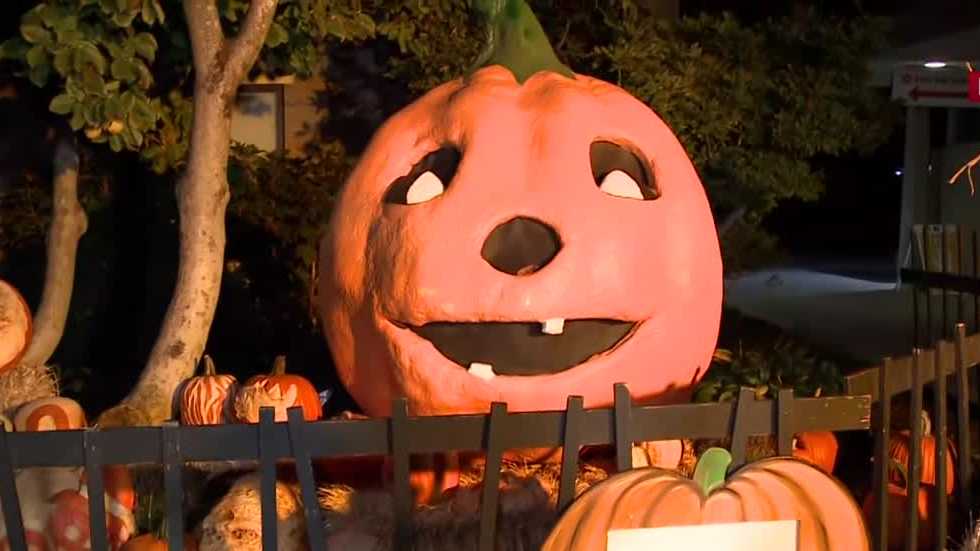 Tickets for 'Boo at the Zoo' go on sale Tuesday