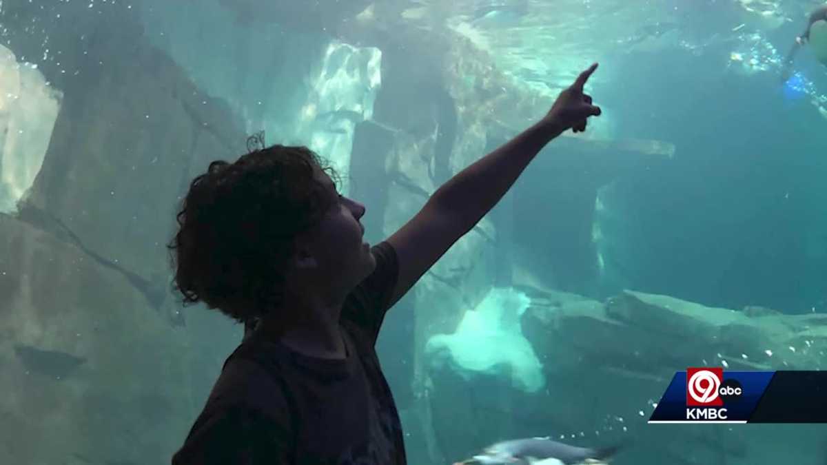 Kansas City Dream Factory sends Max Phillips, family on trip to Florida