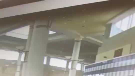 Video of smash-and-grab at mall jewelry kiosk