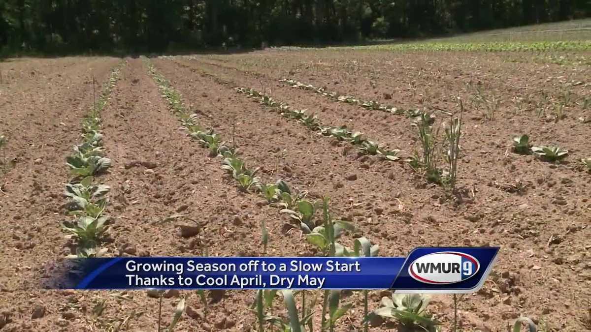 Weather poses challenges to farmers